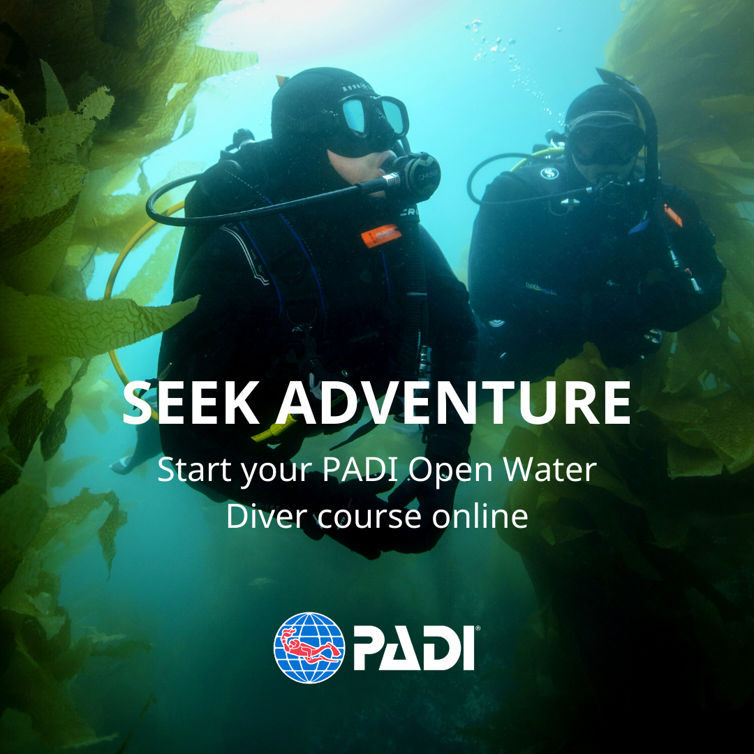 PADI Open Water Diver eLearning – Aquanaut
