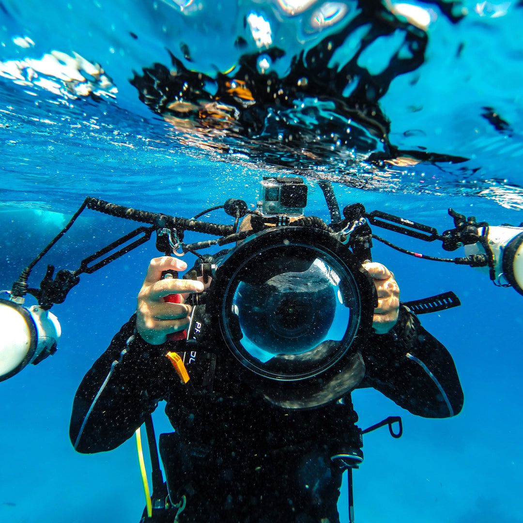 Digital Underwater Photography eLearning – Aquanaut