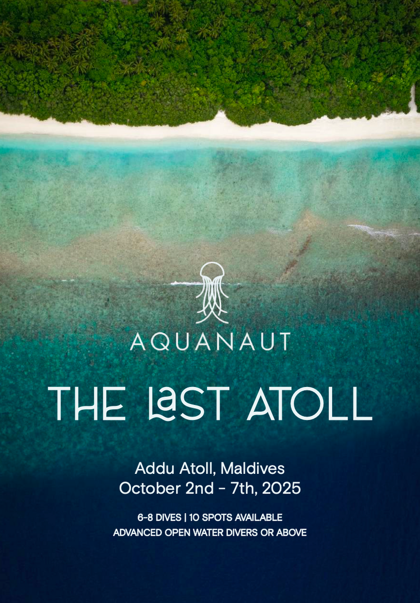 The Last Atoll - Addu, Maldives (Oct 2-7, 2025) – Aquanaut